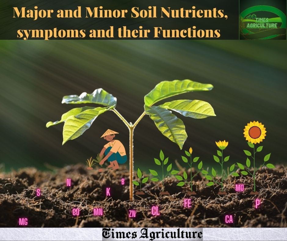Soil Nutrients and Their Classification | 15 Most Important Nutrients ...