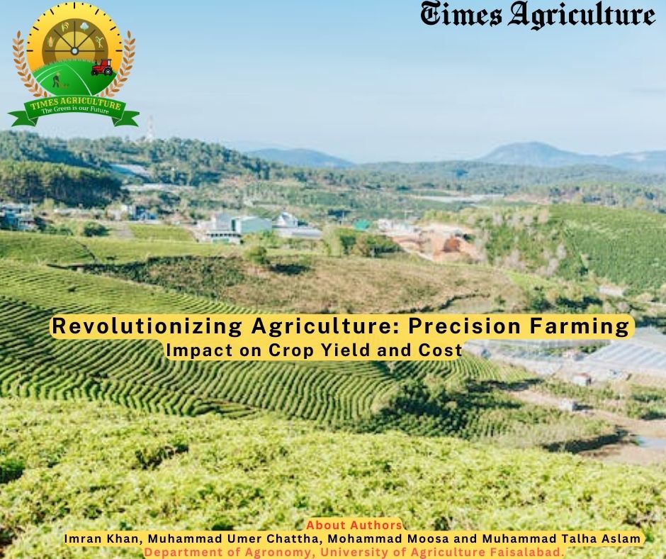 Revolutionizing Agriculture: Precision Farming Impact on Crop Yield and ...
