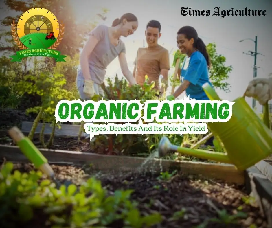 Organic Farming: Types, Benefits And Its Role In Yield - Times Agriculture