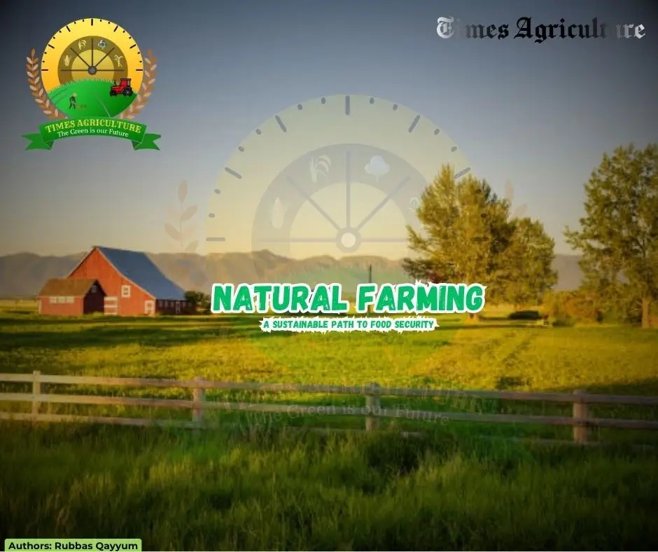 Natural Farming: A Sustainable Path to Food Security - Times Agriculture