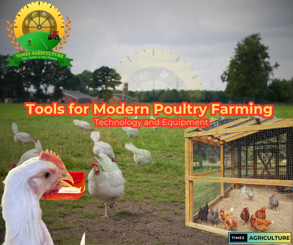 Tools for Modern Poultry Farming | Technology and Equipment - Times ...
