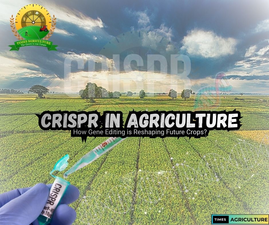 CRISPR in Agriculture: How Gene Editing is Reshaping future Crops?